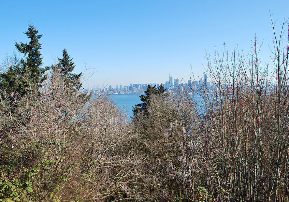 West Seattle Viewpoints with Best Views of Seattle