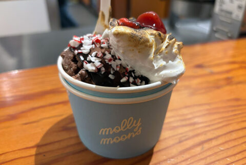 Molly Moon's Ice Cream | Gourmet Ice Cream in Seattle